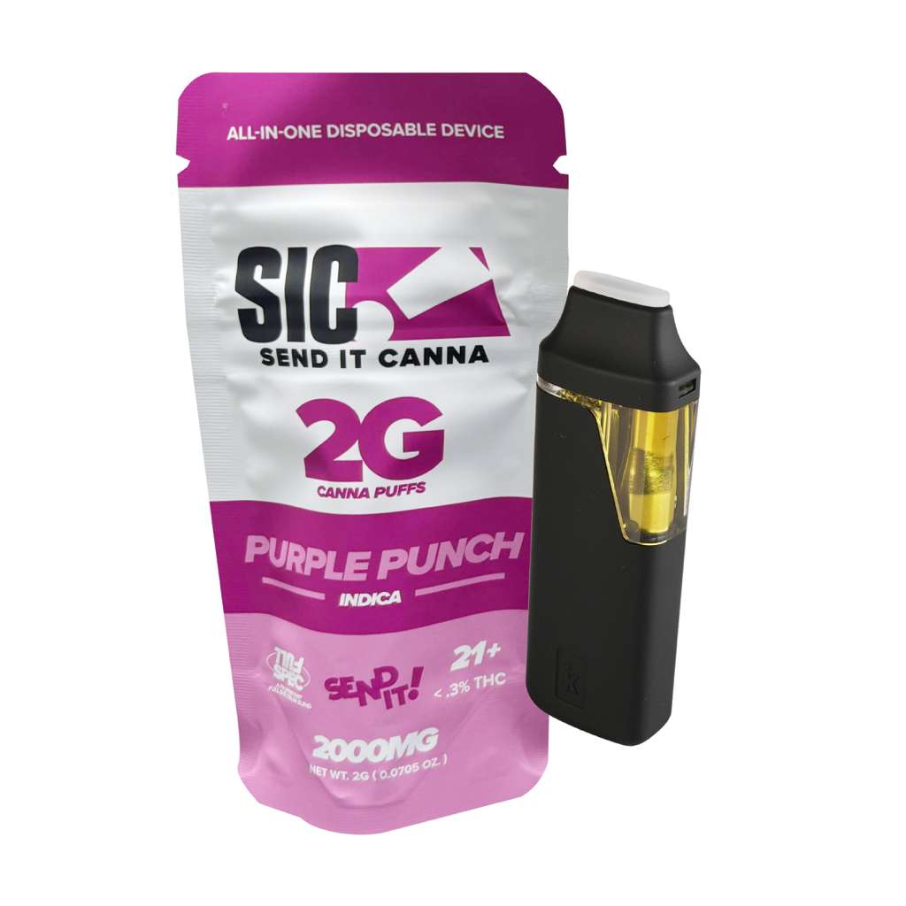 Purple Punch Disposable Vape 2000MG | SIC